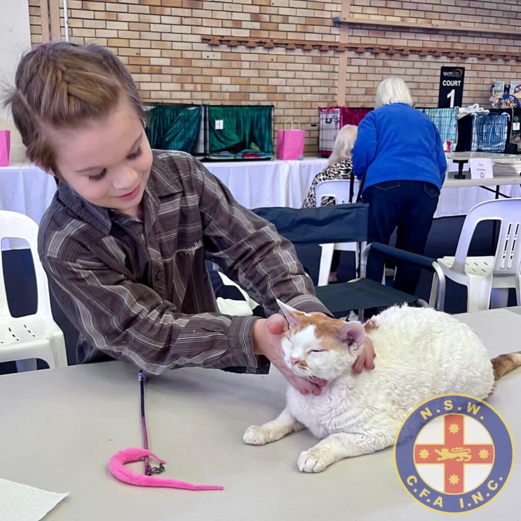 Junior Handler Awards – NSW CFA